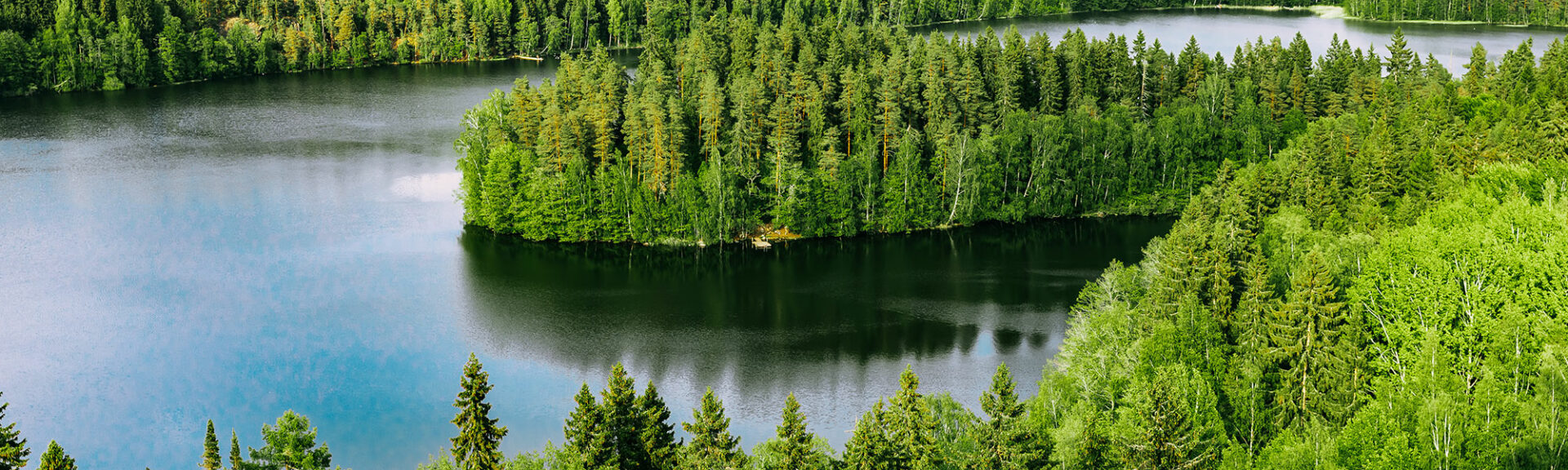 Nuestra ambición climática 2050 - Hamelin Brands Iberica